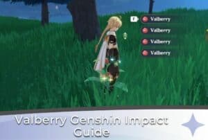 Valberry Genshin Impact Guide - A Stormwatcher's Sustenance - Genshin ...