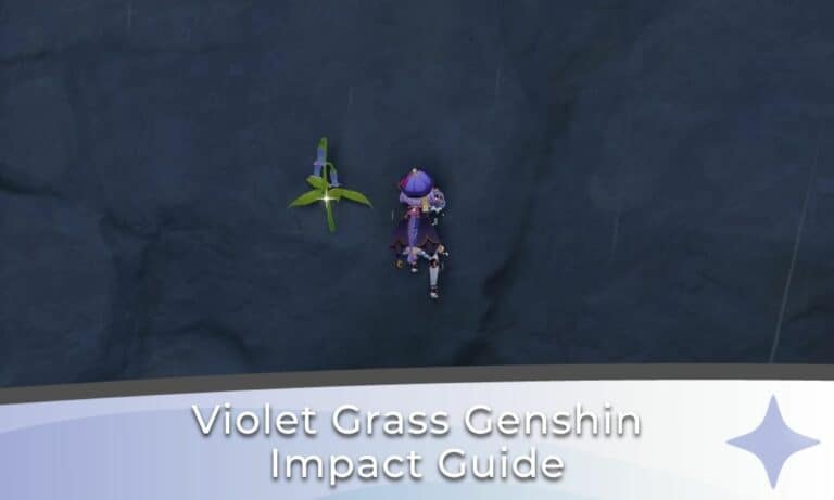 Violetgrass Genshin Impact Guide - Genshin Chronicle