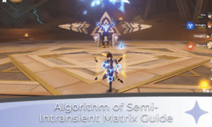Algorithm of Semi-Intransient Matrix Guide - Genshin Chronicle