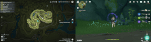 Genshin Impact All Dendroculus Locations